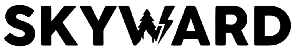 Venture Investor - Diagram | EN